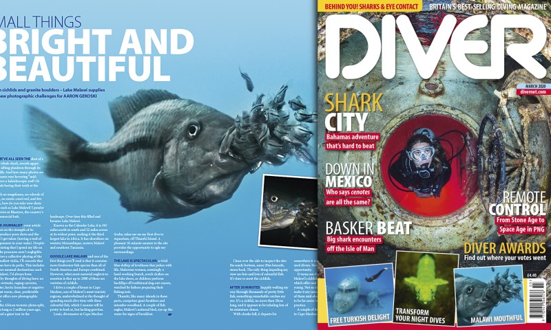 Freelancer Home - SMK Graphic Design